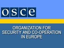 osce-logo – H. David Baer